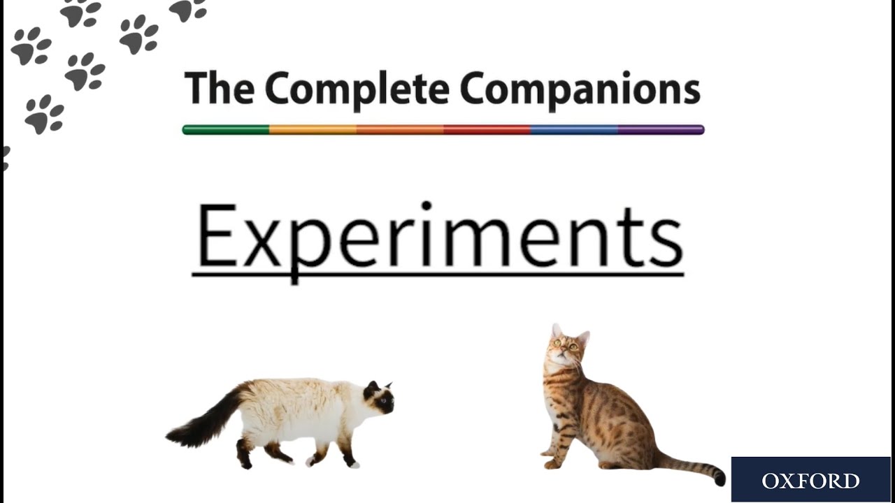 The Complete Companions: Psychological Experiments - YouTube