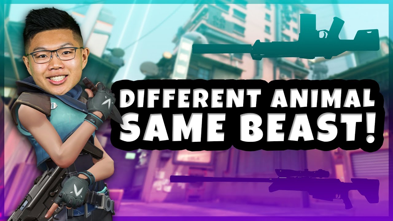 DIFFERENT ANIMAL, SAME BEAST | TSM WARDELL POST OP NERF - YouTube