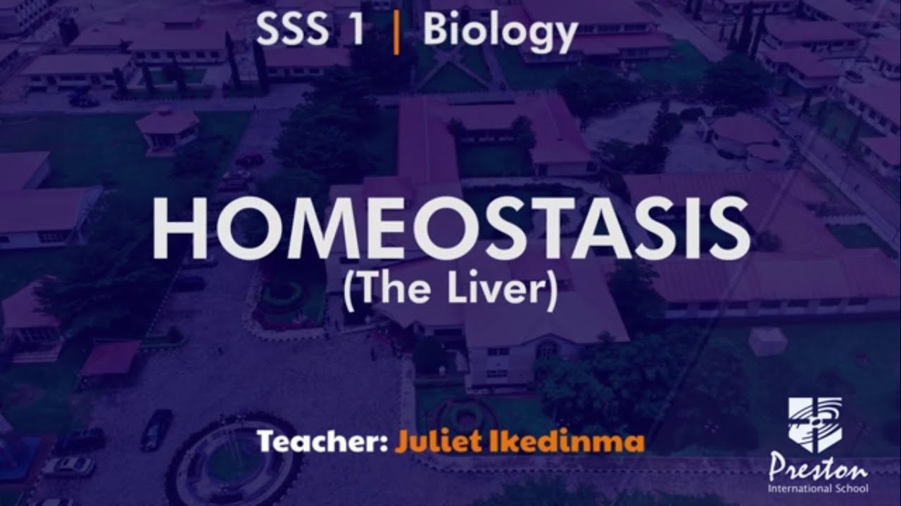 Homeostasis (The Liver) - SSS1 Biology - YouTube