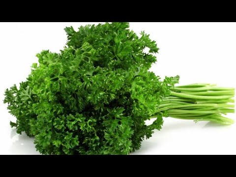 remède naturel très emportant pour Pierre au reins - YouTube