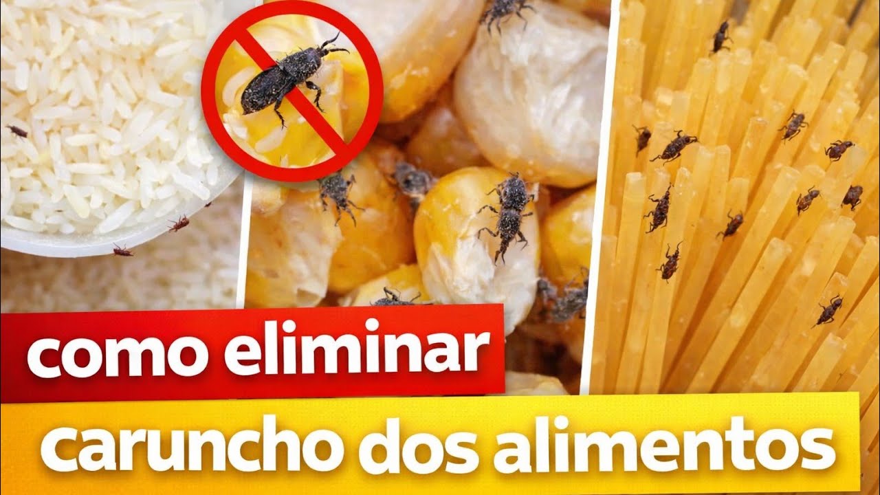 COMO ACABAR COM CARUNCHO NO ARMÁRIO DE UMA VEZ POR TODAS! - YouTube