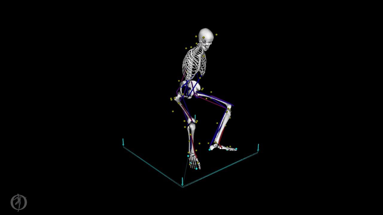 Using Computed Muscle Control to Generate a Forward Dynamics Simulation ...