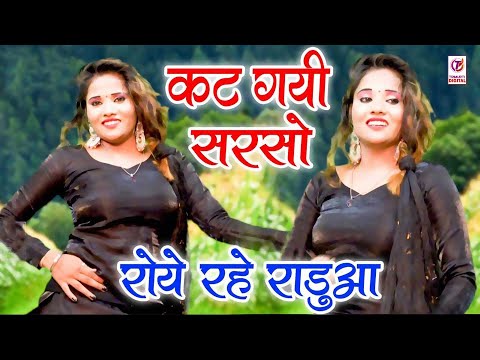 सुरेंद्र गुर्जर रसिया 2025 | कट गयी सरसो रोये रहे राडुआ | Aarohi Sharma Dance | Dj Rasiya 2024 |