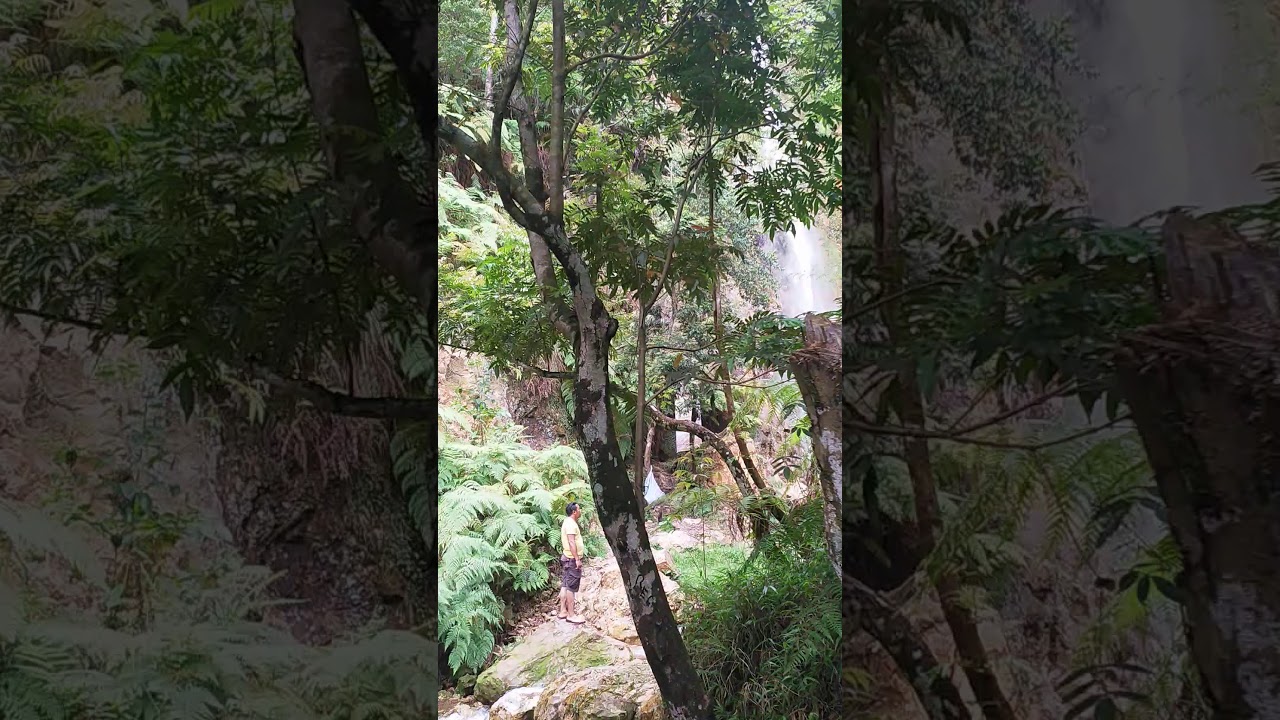 Bambi falls @ Binalbagan - YouTube