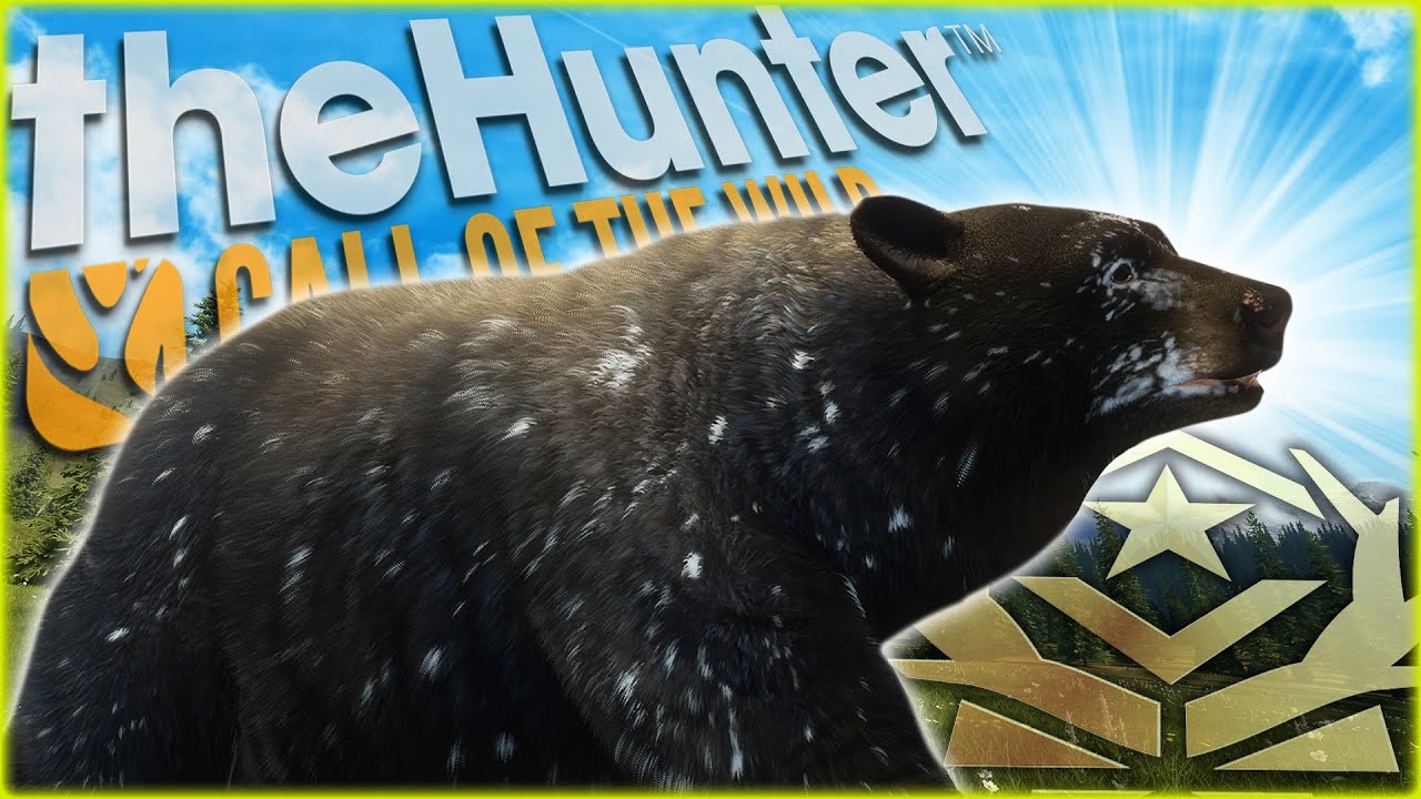 WE DID IT! Taking The Fabled Spotted Great One Black Bear IN A FEED ...