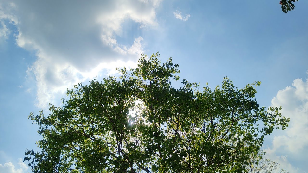 Manitha manitha maanida vazhvu - Tamil Christian song / Thamizh ...