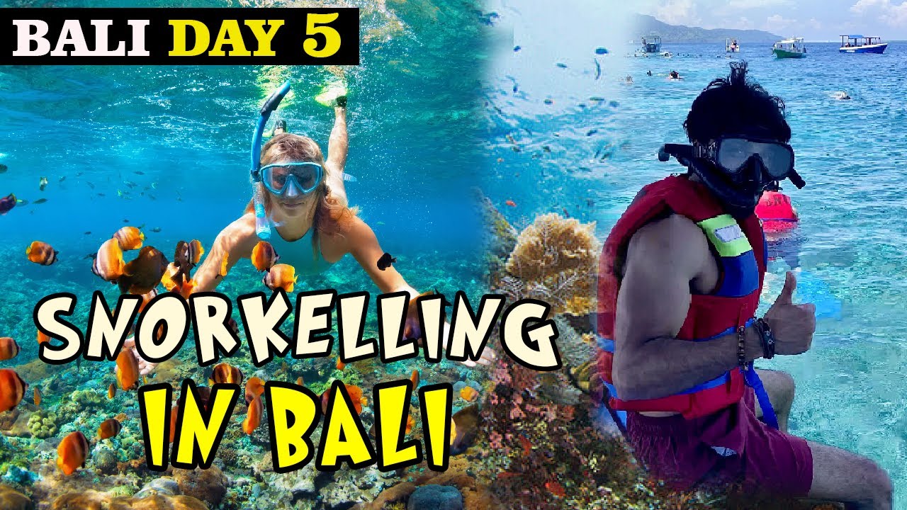 Gilli Island Snorkelling in 300k INR : Bali Travel - YouTube