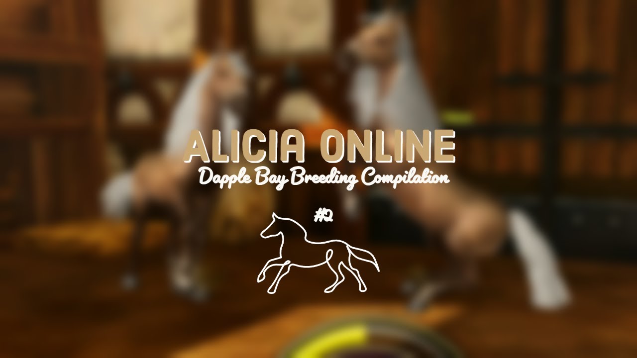 Alicia Online | Dapple Bay Breeding Compilation #2 - YouTube