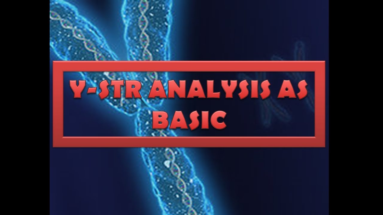 Y-STRs ANALYSIS (easy notes) - YouTube
