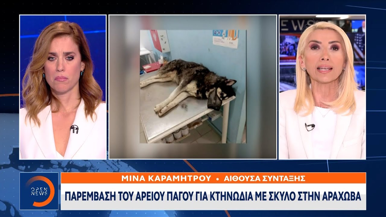 Παρέμβαση του Αρείου Πάγου για κτηνωδία με σκύλο στην Αράχωβα | Ethnos ...