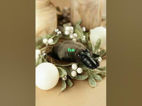 Unveiling Curiosities: A Fascinating Collection of Intriguing Facts ...