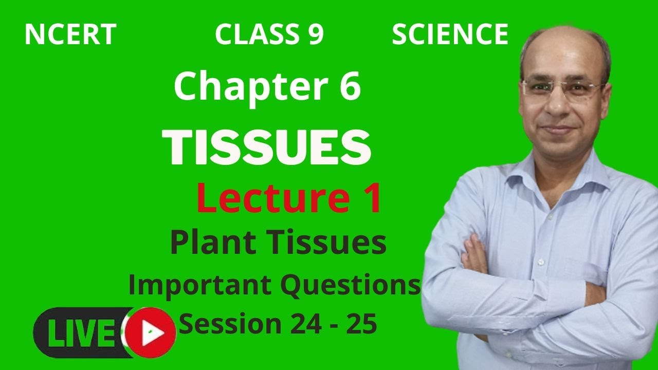 Class 9 CBSE/NCERT Science Chapter 6 | Tissues | Lecture 1 | Plant ...