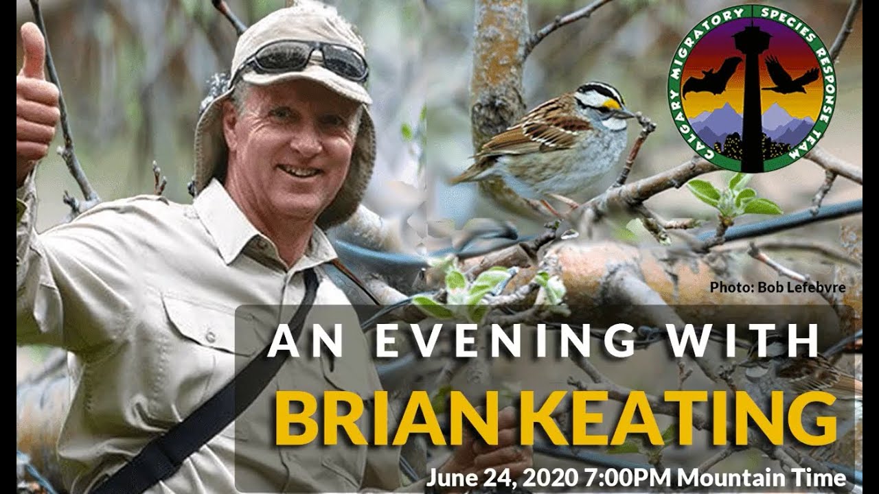 Wildlife Wednesday (June 24, 2020) An Evening with Brian Keating - YouTube