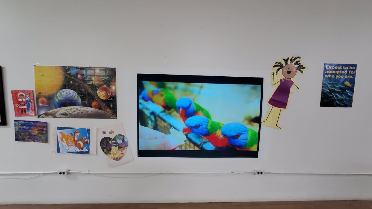 Plastic poster board turn into a ALR OLED LIKE projector screen with ...