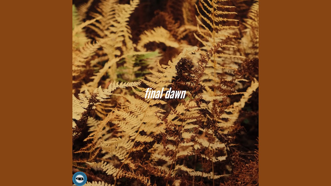 Dawn - Peter Bark: Song Lyrics, Music Videos & Concerts