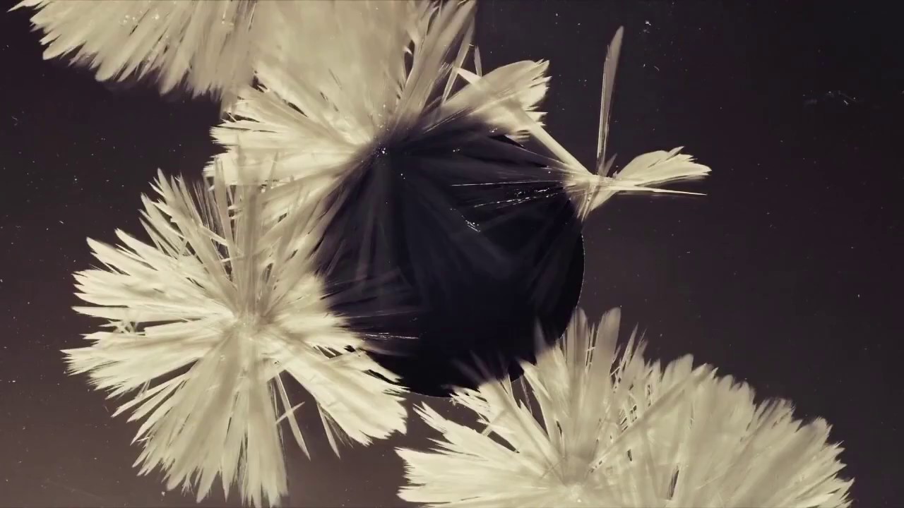 The Net of Indra - YouTube