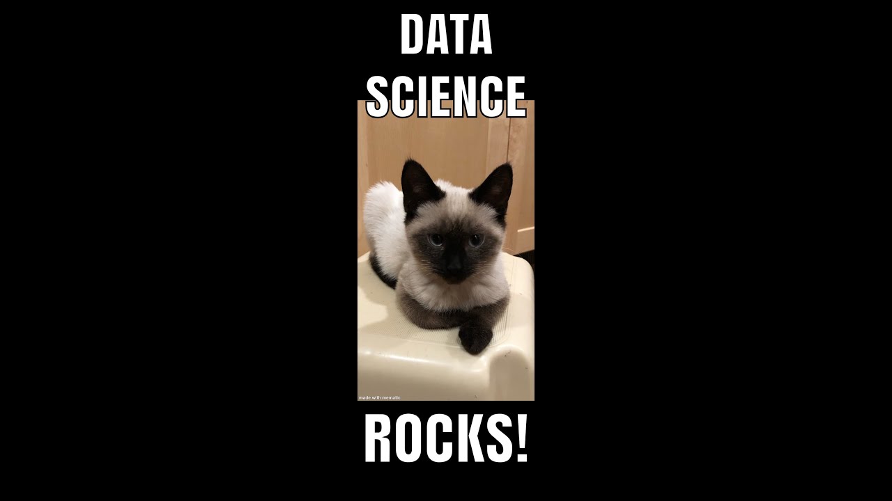 RStudio - 2 Sample Proportion Test - YouTube