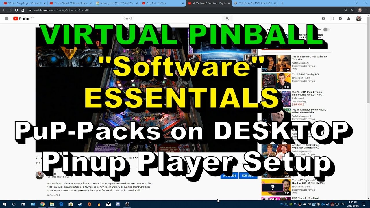 VP "Software" Essentials - Pup-Packs on Desktop - Setup Pinup Player ...