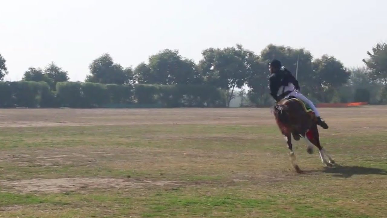 KSKCCS | Horse Riding | Karnal Sher Khan Cadet College Swabi | Parents ...