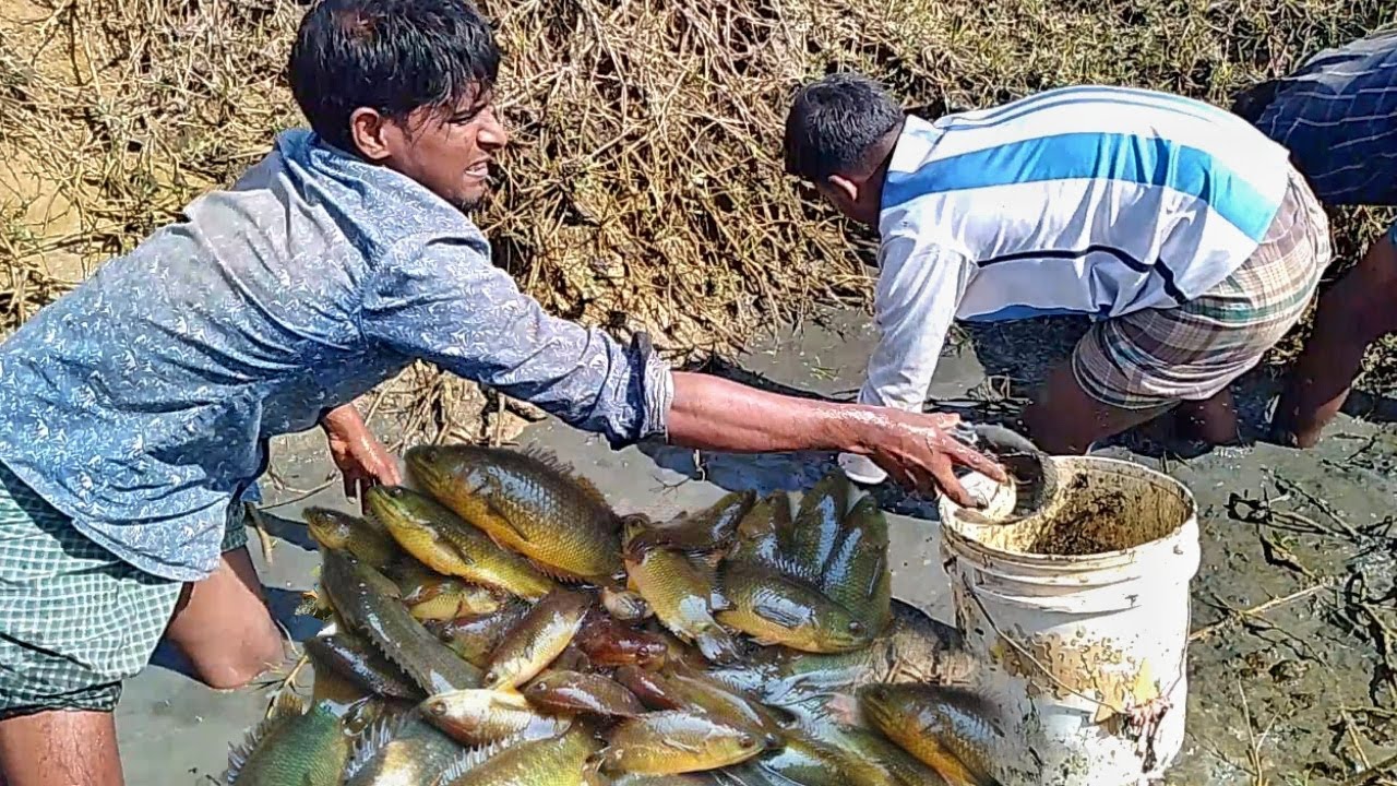 Amazing Traditional Fishing Skill / Fishing Video - YouTube