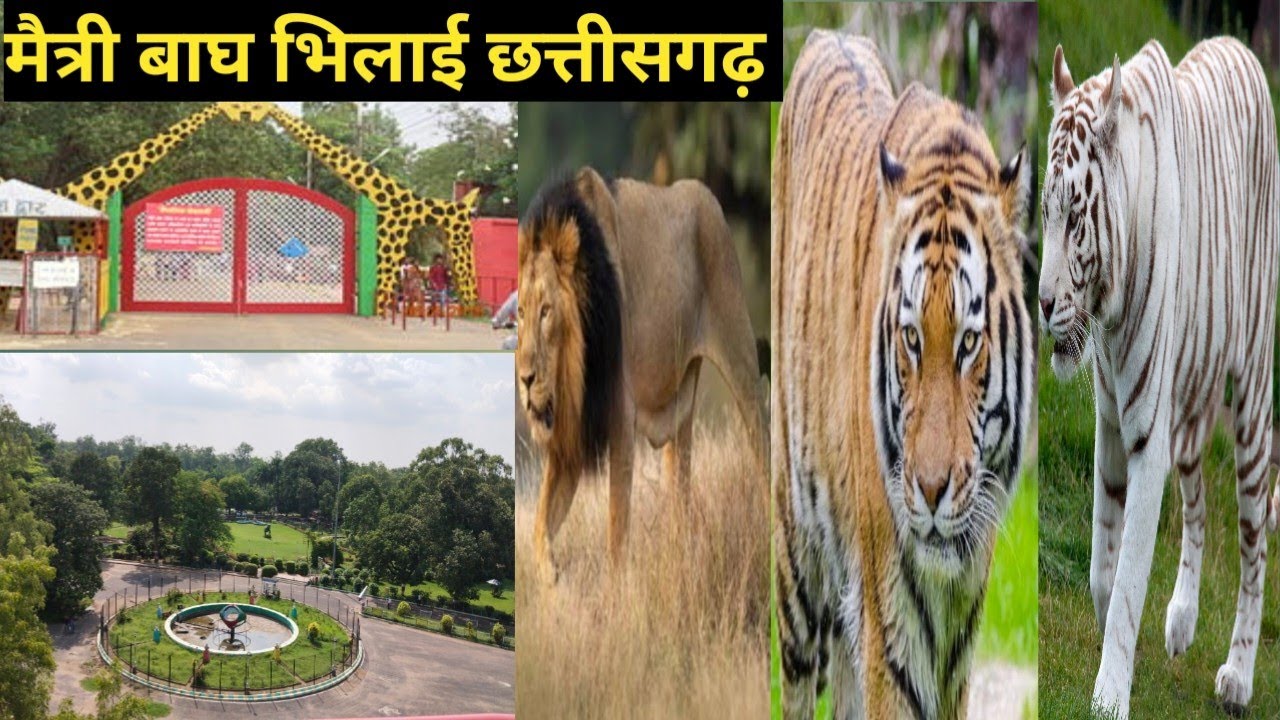 Maitri Bagh Zoo In Bhilai Chhattisgarh || Bhilai Tourist Places ...
