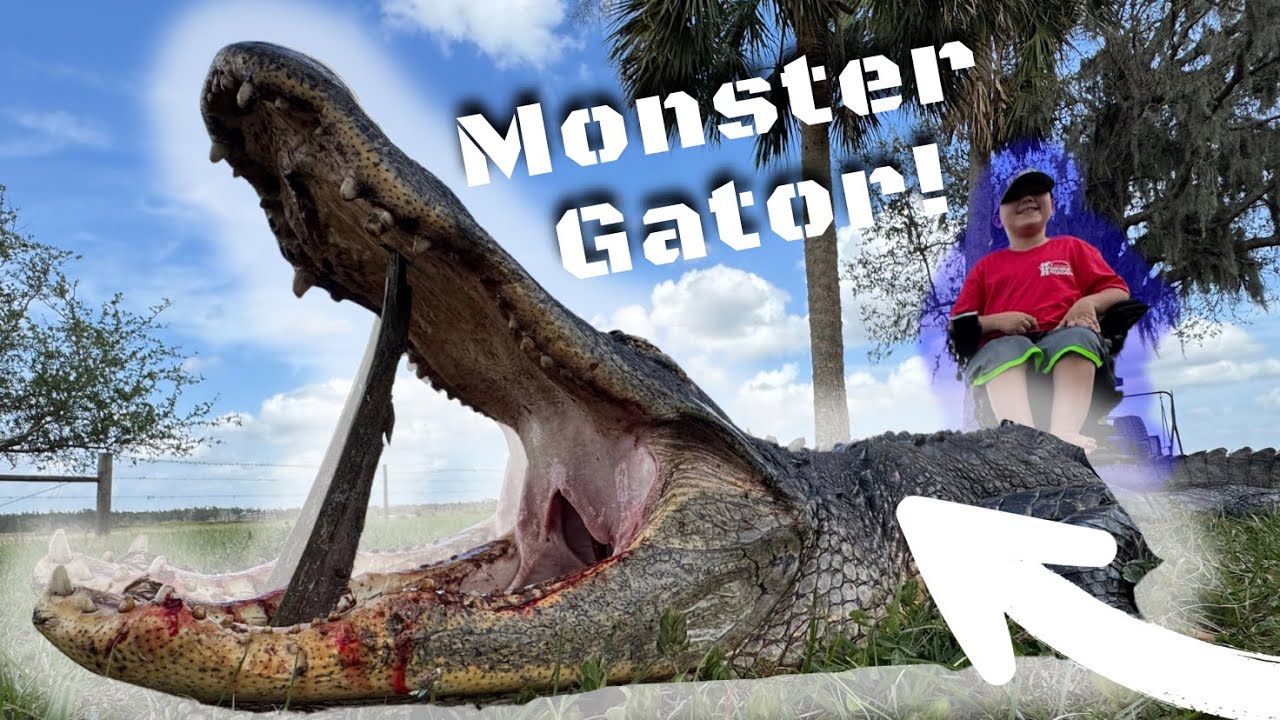 MASSIVE ALLIGATOR ALMOST ESCAPES! | Alligator Hunting In Florida - YouTube