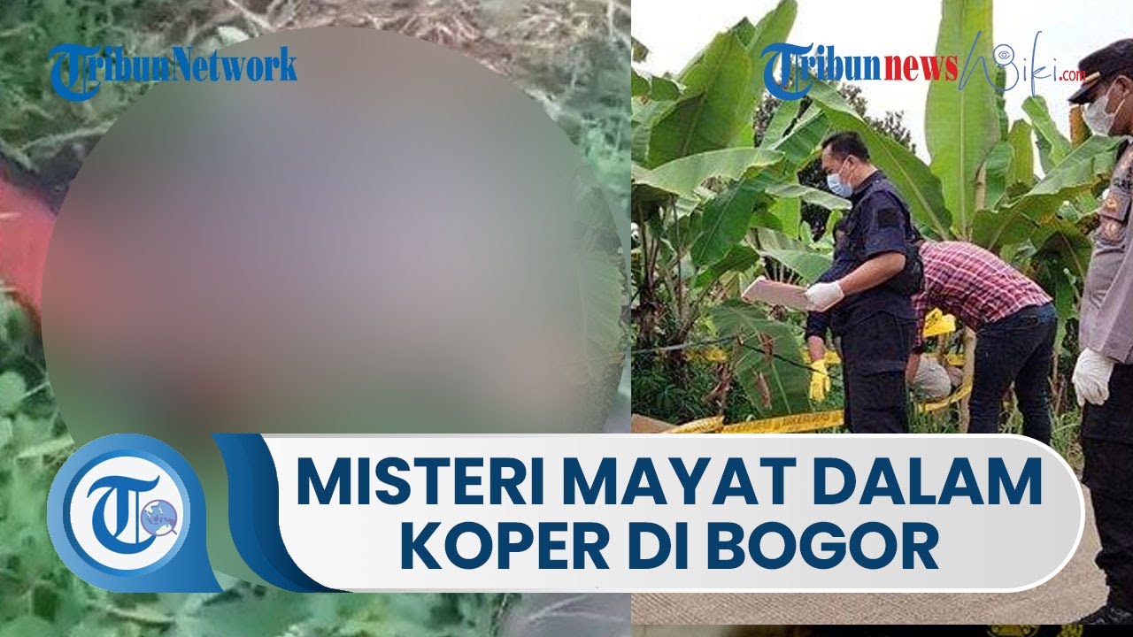 Misteri Penemuan Mayat Pria Dalam Koper di Bogor, Ditemukan Tanpa ...