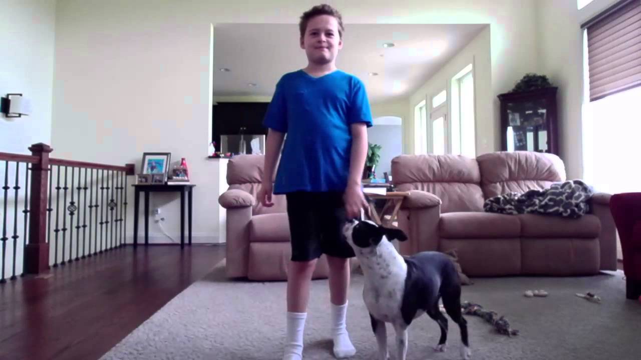 BGA Karate: One Step Sparring Number 8 - YouTube