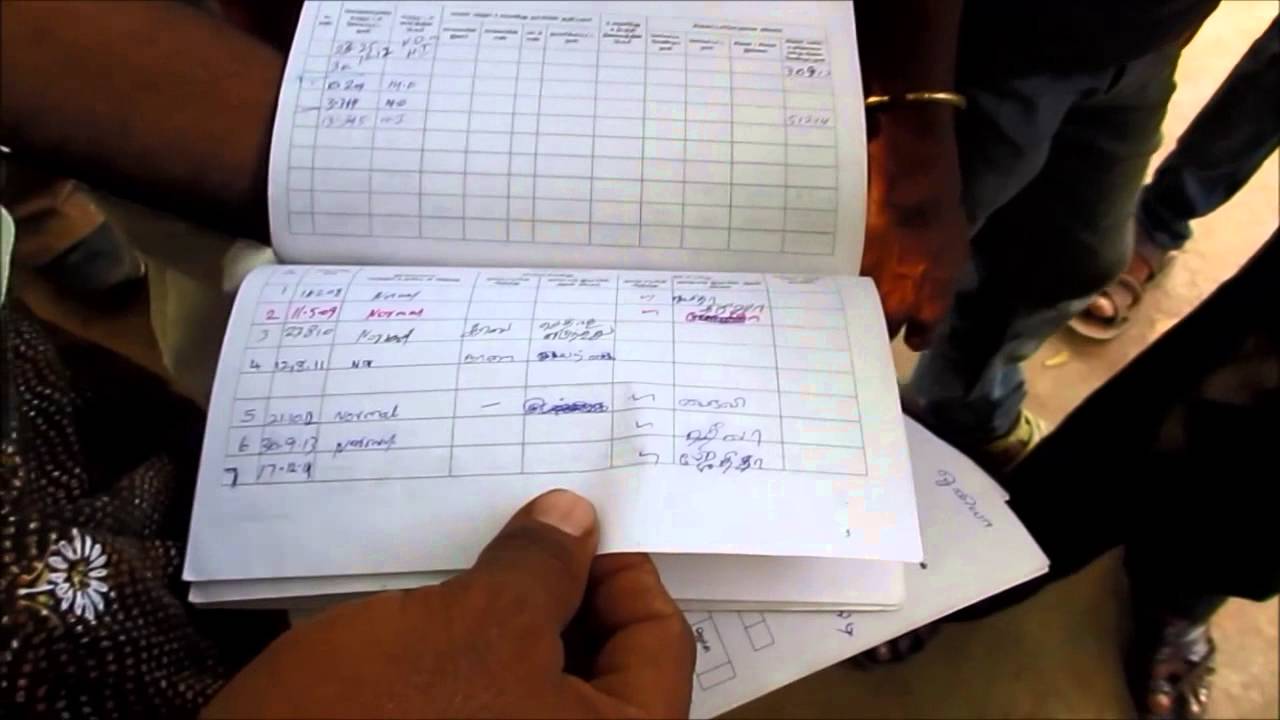 Record Maintenance in a Dairy Farm - YouTube