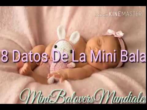 8 datos de la Mini Bala- MiniBaloversMundiales - YouTube