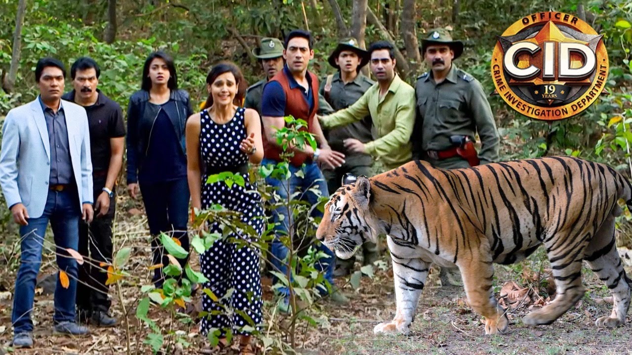 खूँखार Tiger से हुआ CID Team का आमना सामना | CID New Episodes | Chhote ...