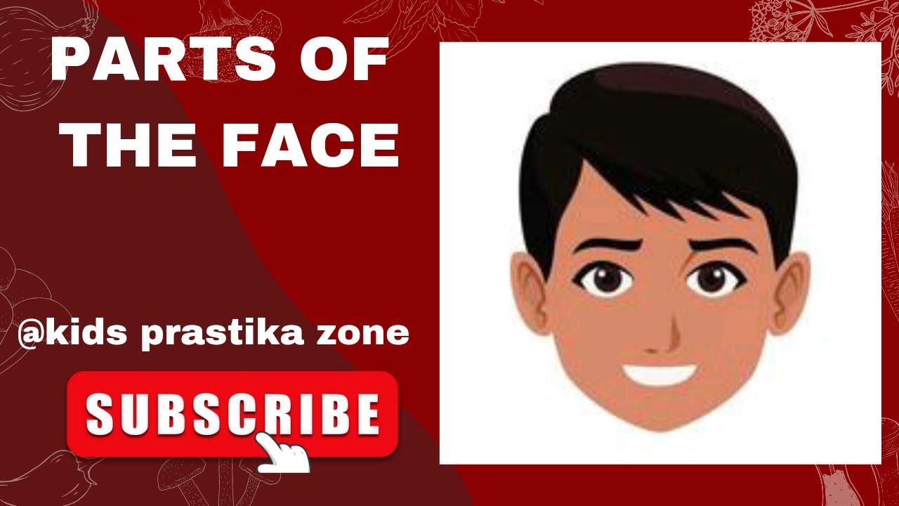 Parts of the face/parts of face for kids/Face parts in English - YouTube