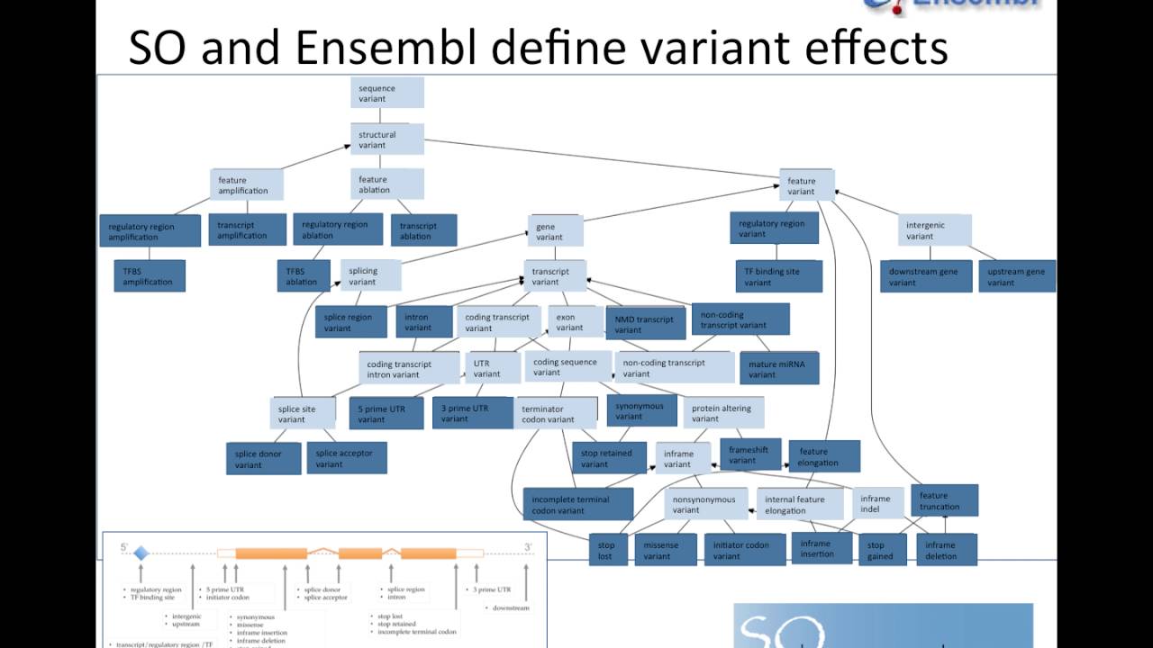 Understanding Variant Interpretation Discrepancy in ClinVar [Part 2 ...