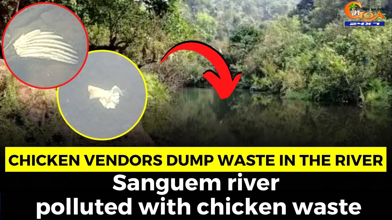 Chicken vendors dump waste in the river. Sanguem river polluted with ...