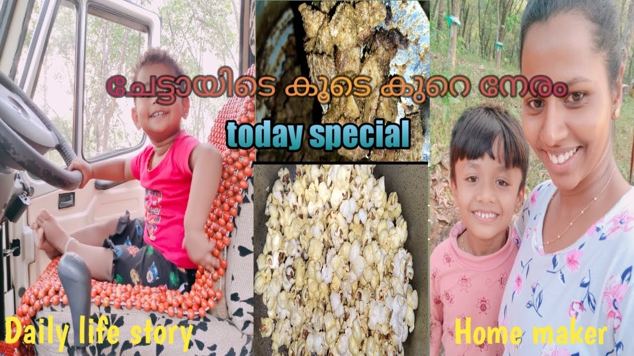 chettayium kallusum#Satarday specials#potty fry#daily vlog story#daily ...
