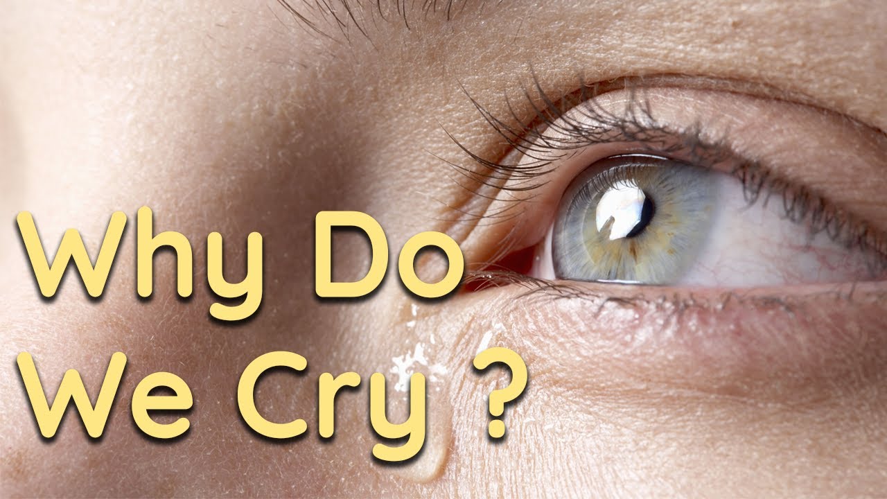 Why Do Humans Cry? - YouTube