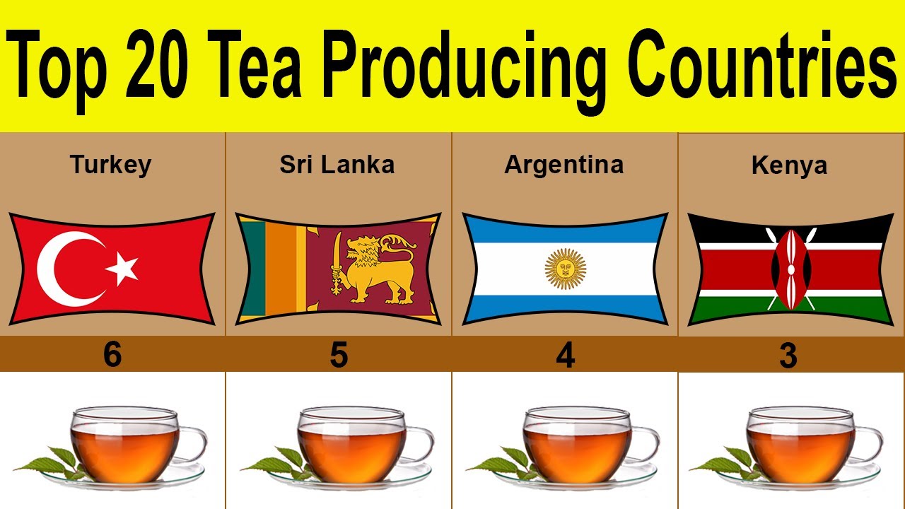 Top 20 Tea Producing Countries In The World 2022 YouTube top-20-tea-producing-countries-in-the-world-2022-youtube
