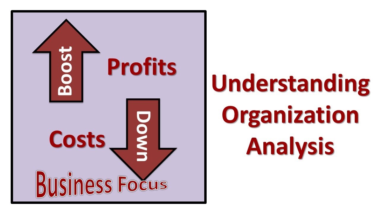 Understanding Organization Analysis - YouTube