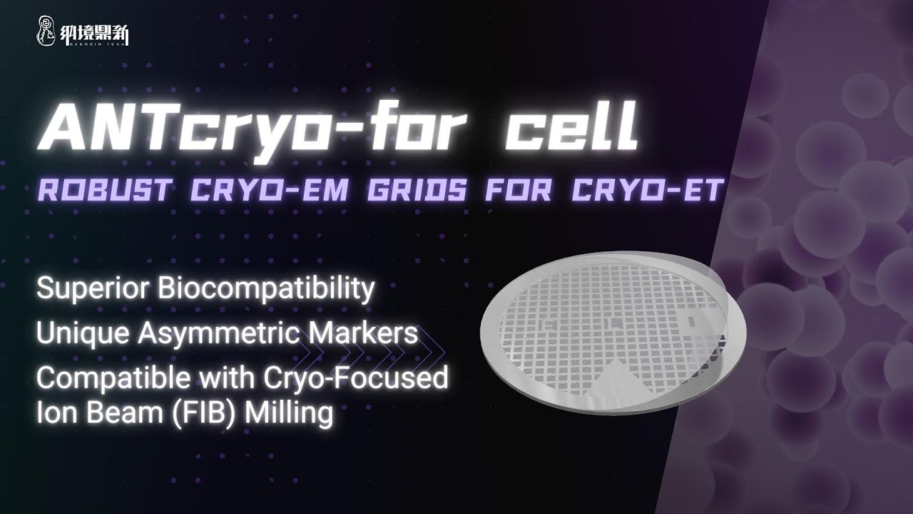 ANTcryo-for cell: Robust Cryo-EM Grids For Cryo-ET - YouTube