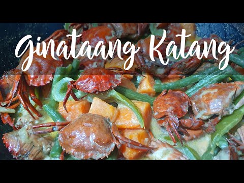 GINATAANG KATANG RECIPE - YouTube