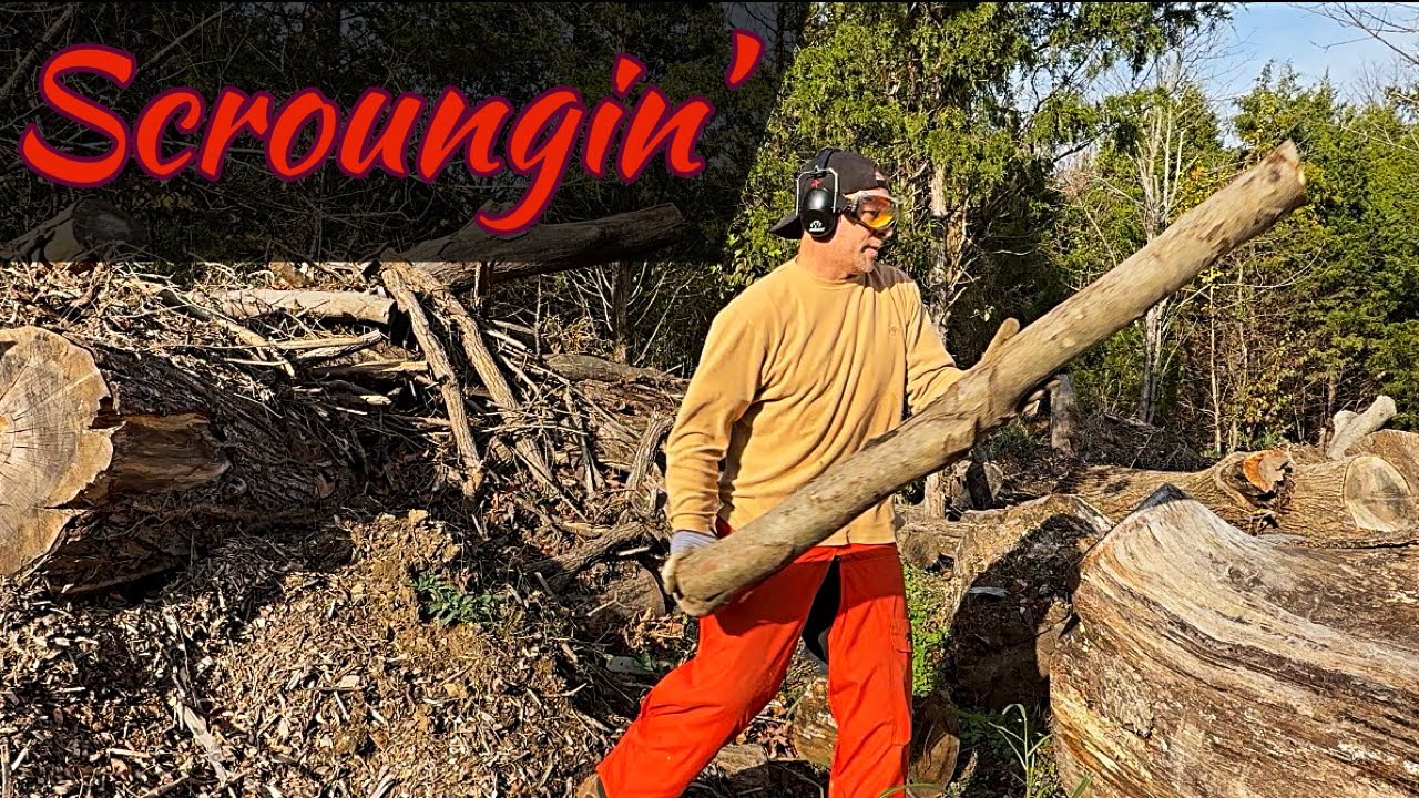 Scrounger wood session. Collecting Firewood - YouTube