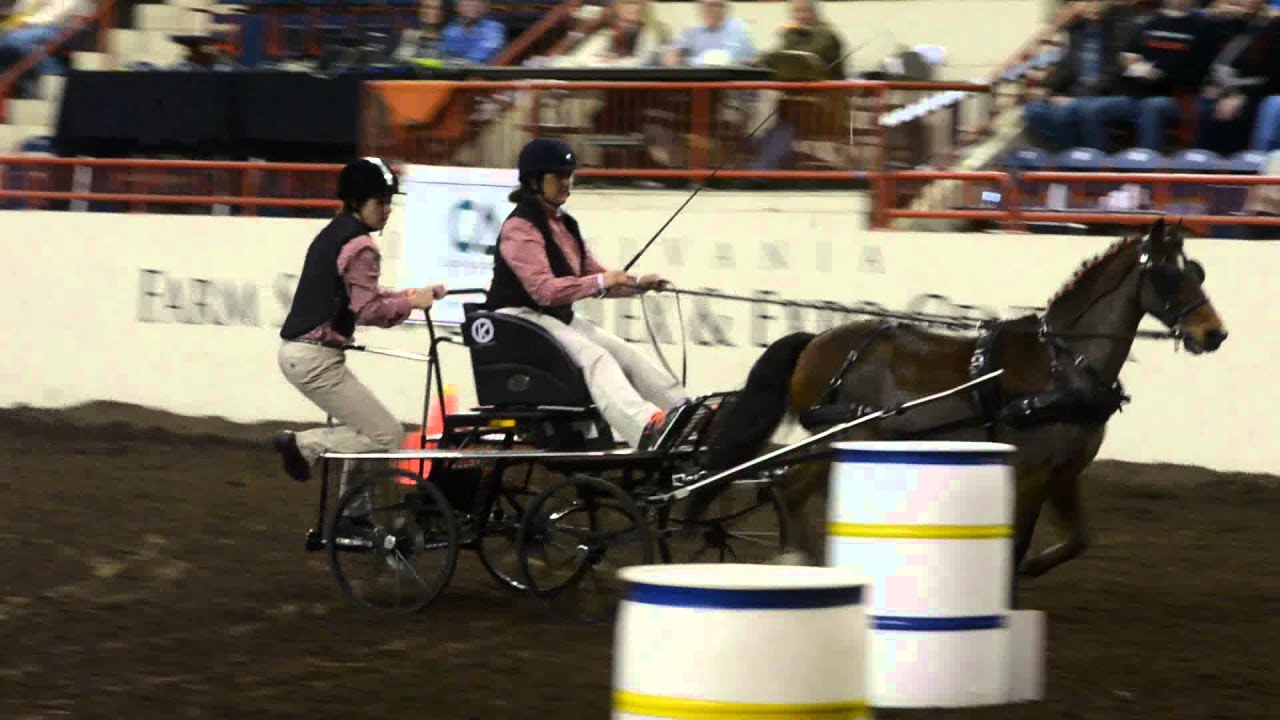 2013 Arena Carriage Racing - YouTube