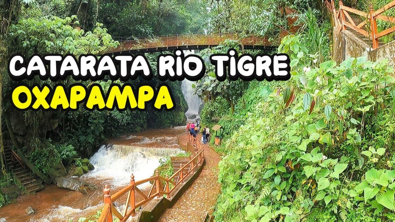 Catarata Río Tigre en Oxapampa: Todo lo que necesitas saber para llegar ...