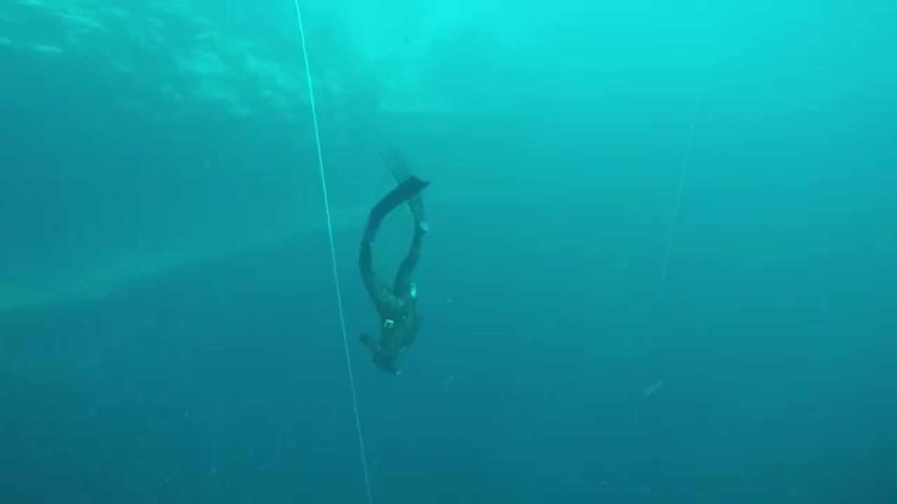 Dean's Blue Hole Bahamas Freedive to 31 Meters/101 Feet with Vertical ...
