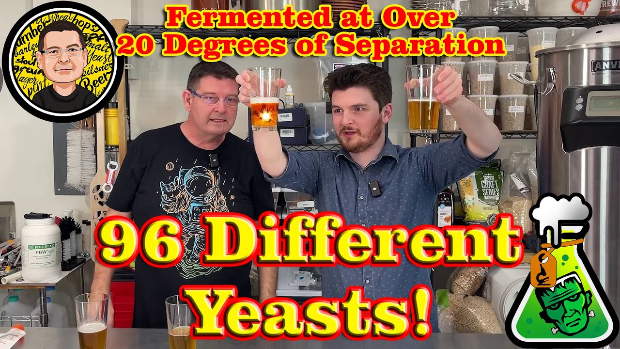 The Yeast Experiment: 96 Strains, 2 IPAs, fermented at over 20 degrees ...