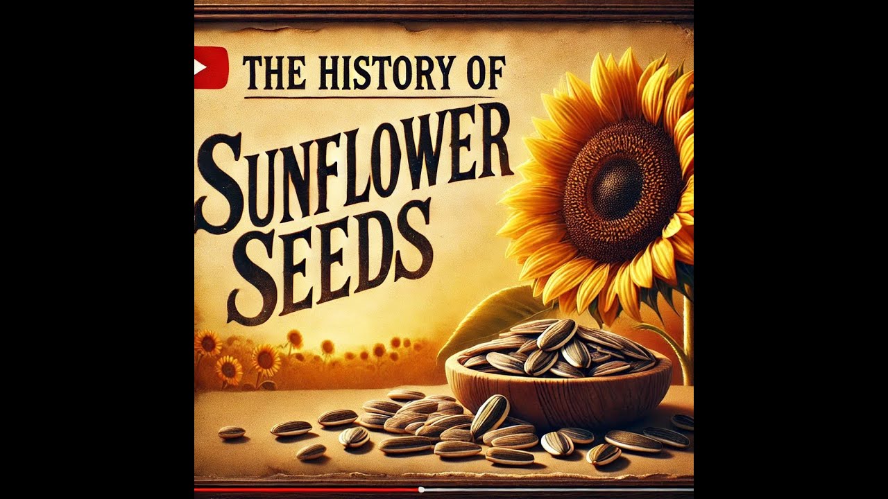 🌻 The History of Sunflower Seeds: From Ancient Times to Today 🌻 - YouTube