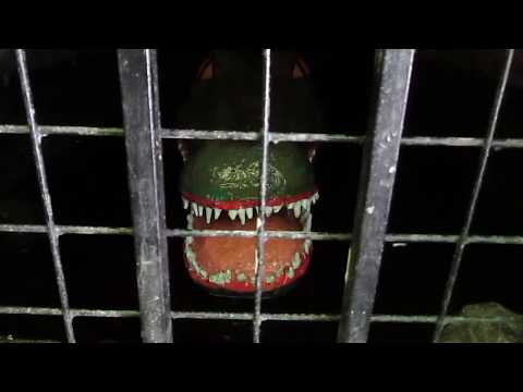Animatronic crocodile in the woods at Watermouth Castle