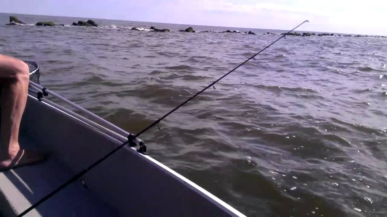 Red Drum Fishing -- Winyah Bay Ocean Jetties, SC - YouTube