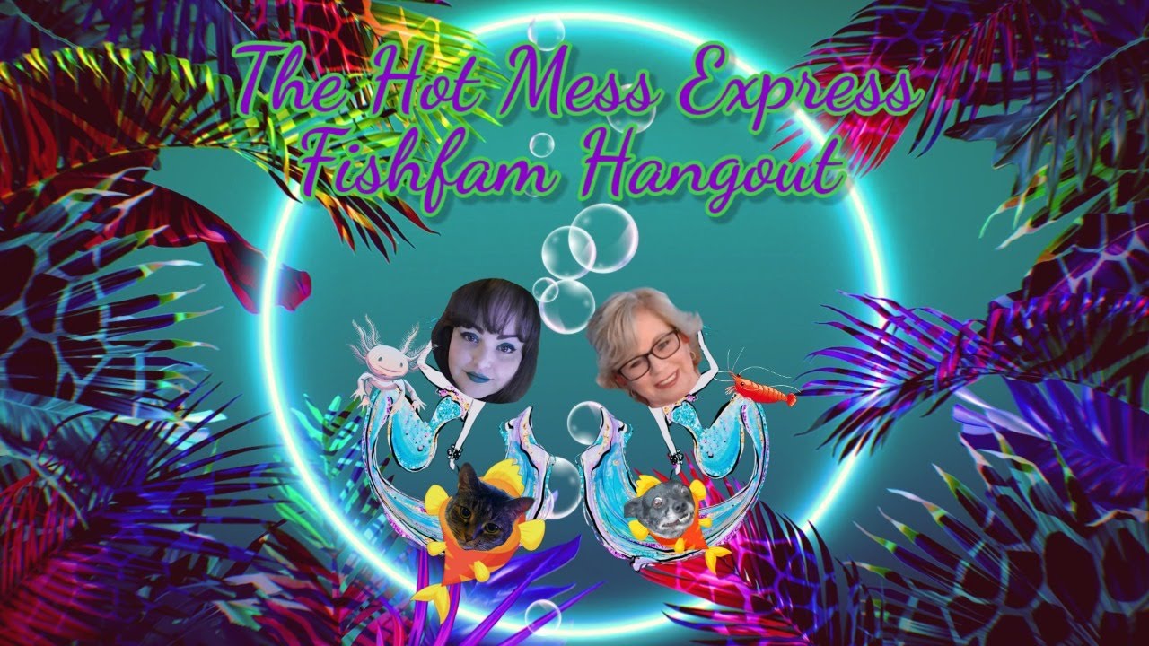 The Hot Mess Express #96 Fish Fam Hangout! - YouTube