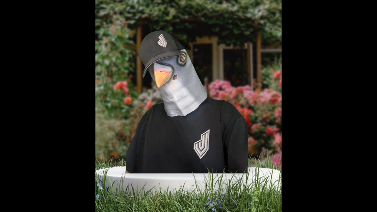 RONNIE THE PIGEON CUTS GRASS TO RAISE MONEY - YouTube